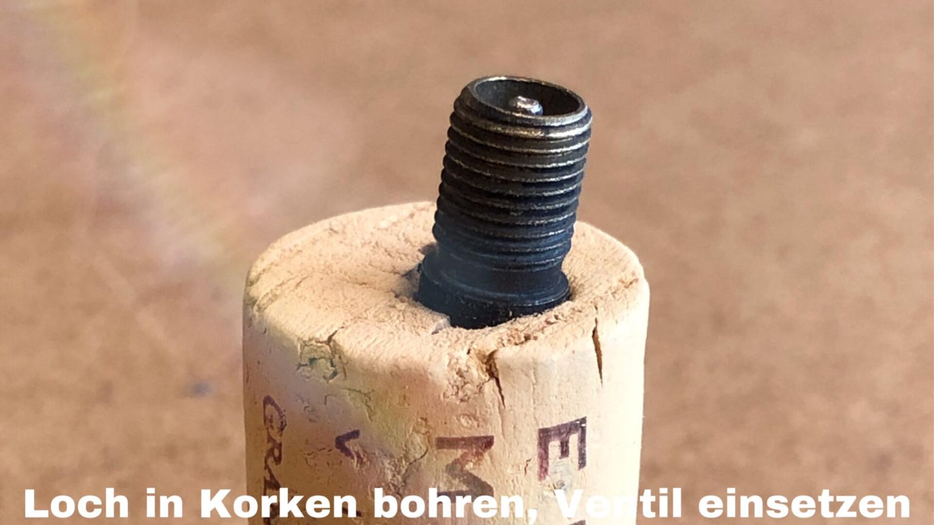 Bauanleitung Wasserrakete – Stiftung SalZH - Bildung mit MehrWert